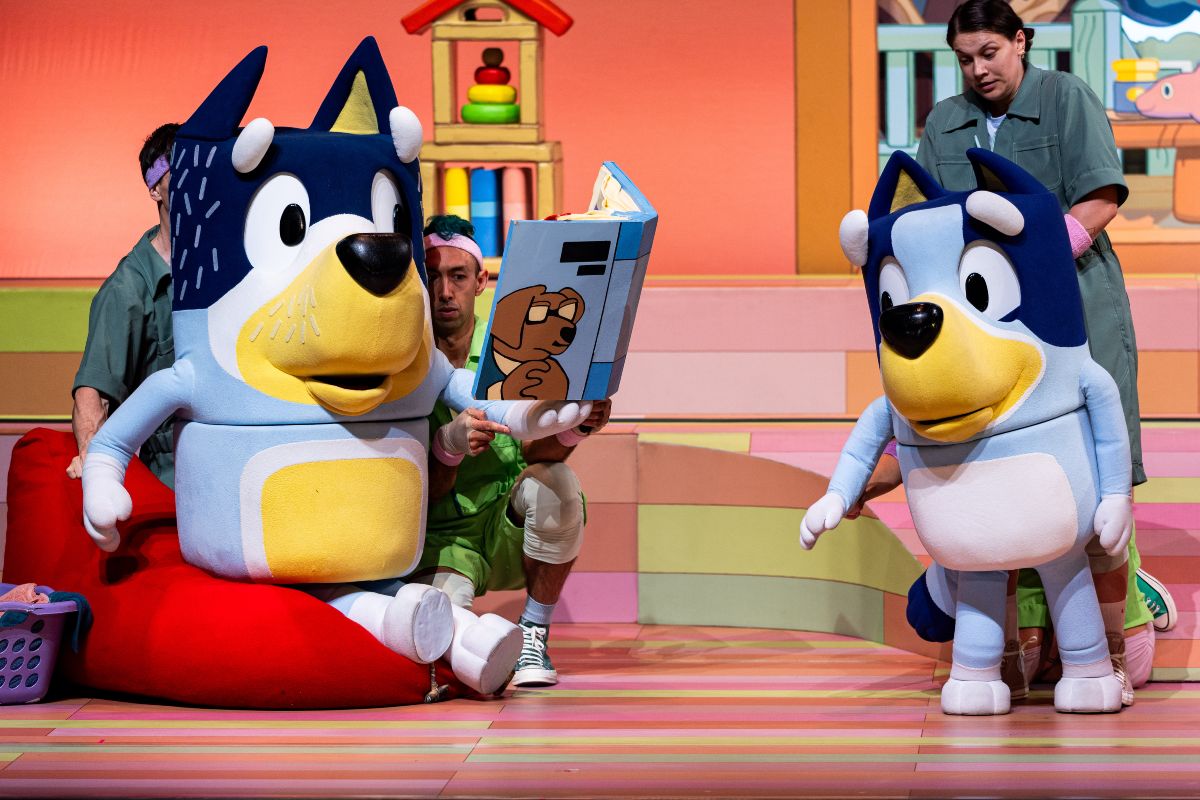 Bluey's Big Play The Stage Show | Civic Theatre
